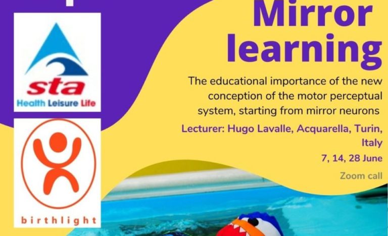 Mirror Learning Webinar - birthlight